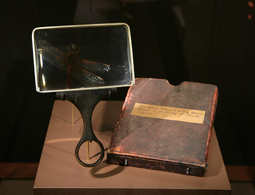 A Evolução de Darwin | O Universo Numa Casca de Noz